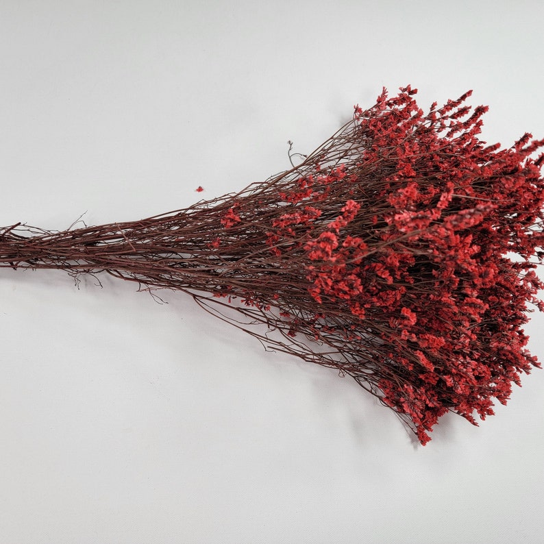 Red Preserved German Statice: Dried Limonium Flowers, DIY Floral ...