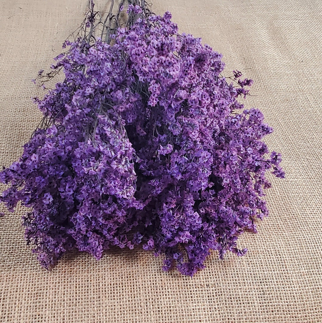 Light Purple Preserved German Statice, Limonium Dried Flower, Crystal ...