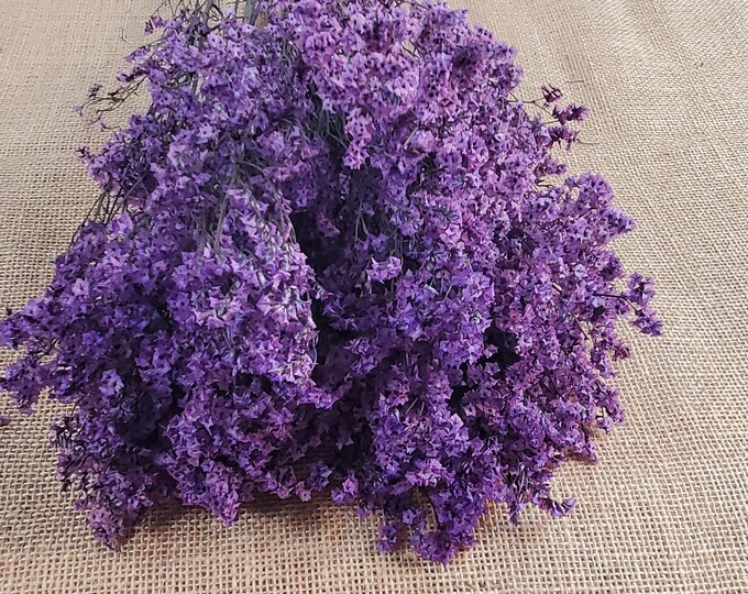 Light Purple Preserved German Statice, Limonium Dried Flower, Crystal ...