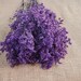 Orange Preserved German Statice, Limonium Dried Flower, Crystal Flowers ...
