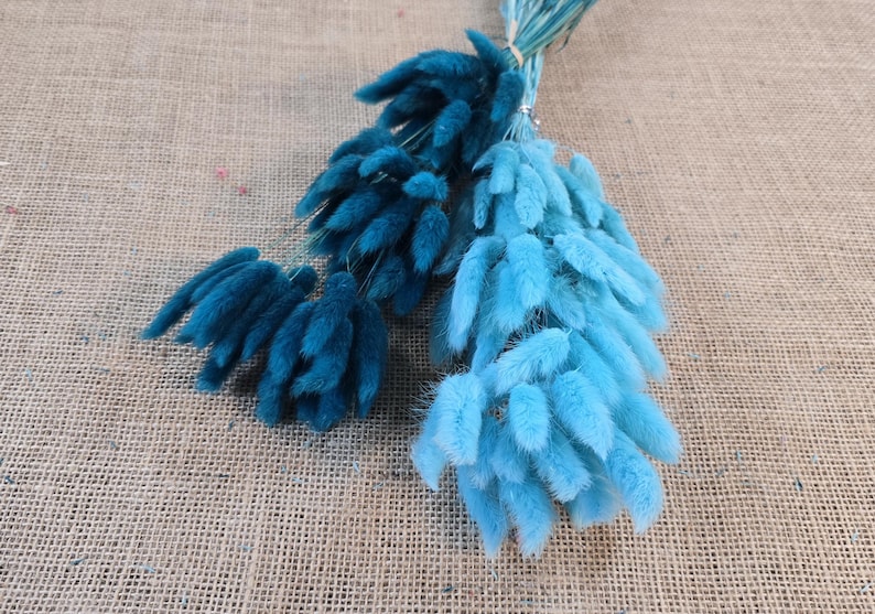 60 Blue Dried Bunny Tail Grass Stems: Boho Wedding Decor - Etsy