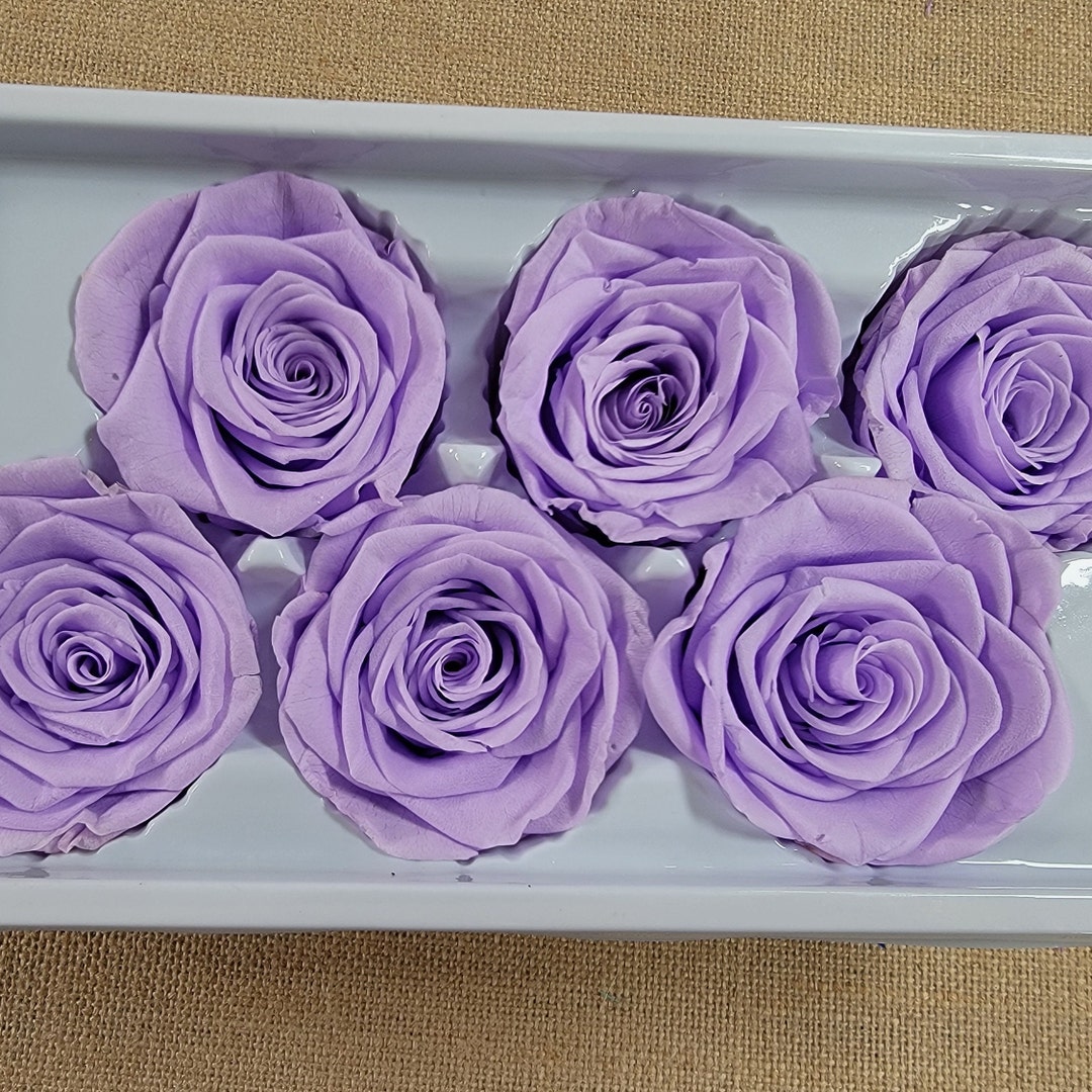 6 Light Purple, Preserved Rose Wedding Rose, Floral Arrangements ...