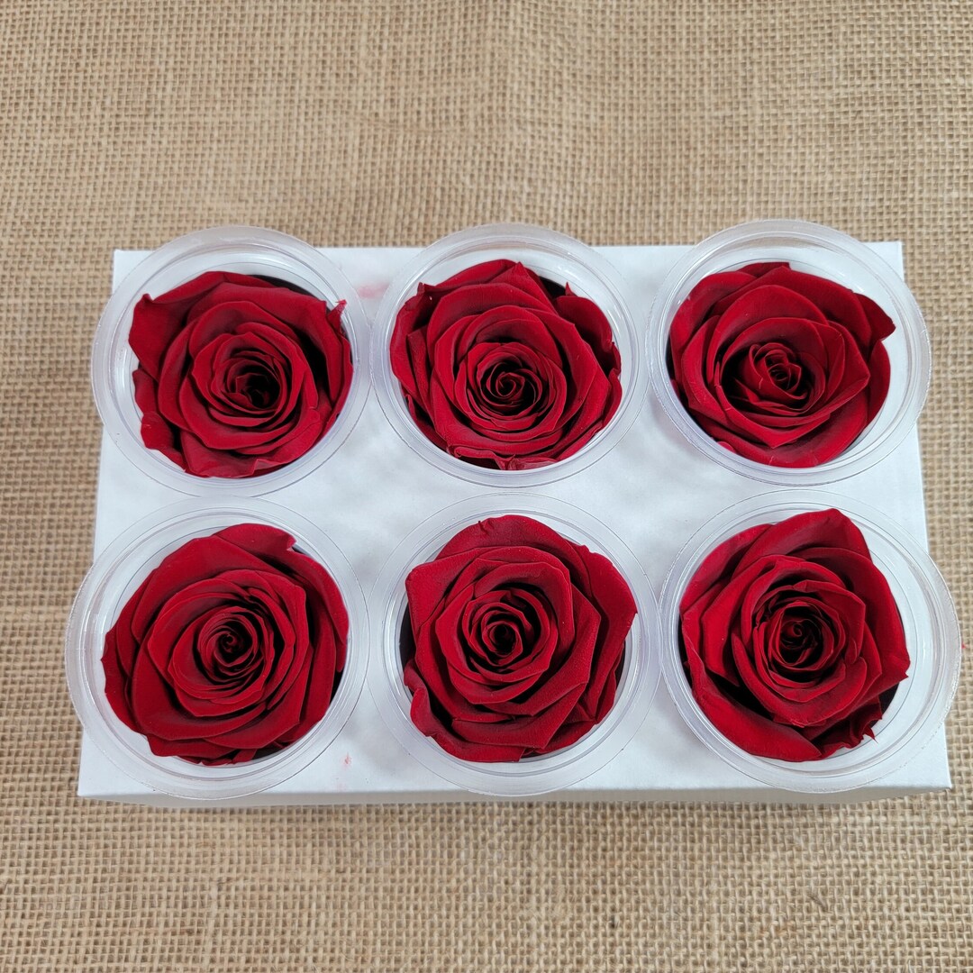 6 Pcs Red Color Rose, Preserved Rose, DIY Floral Arrangements, Home ...