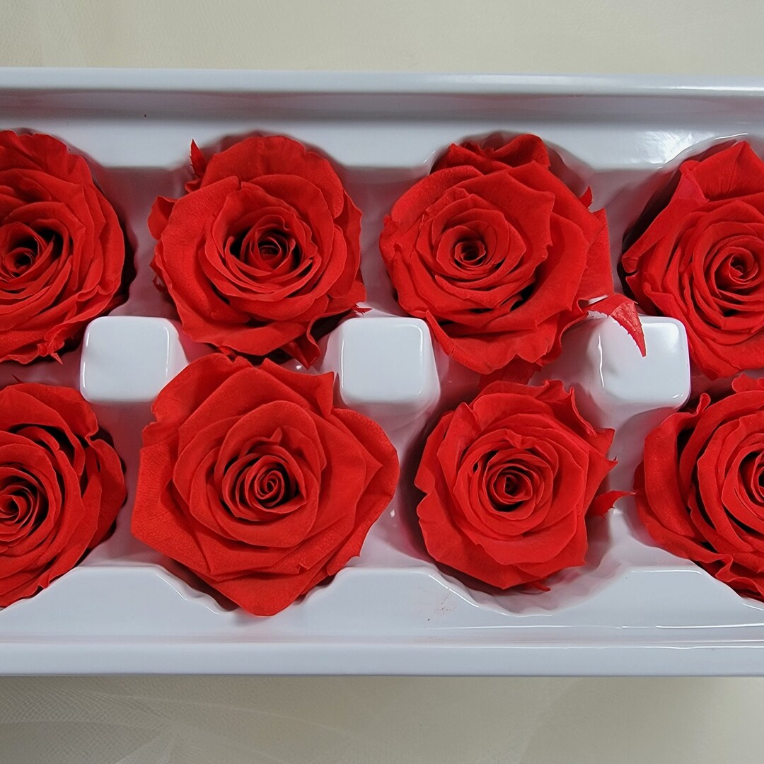 8 Red Preserved Roses: Large Wedding Floral Arrangement (2.5" Inches ...