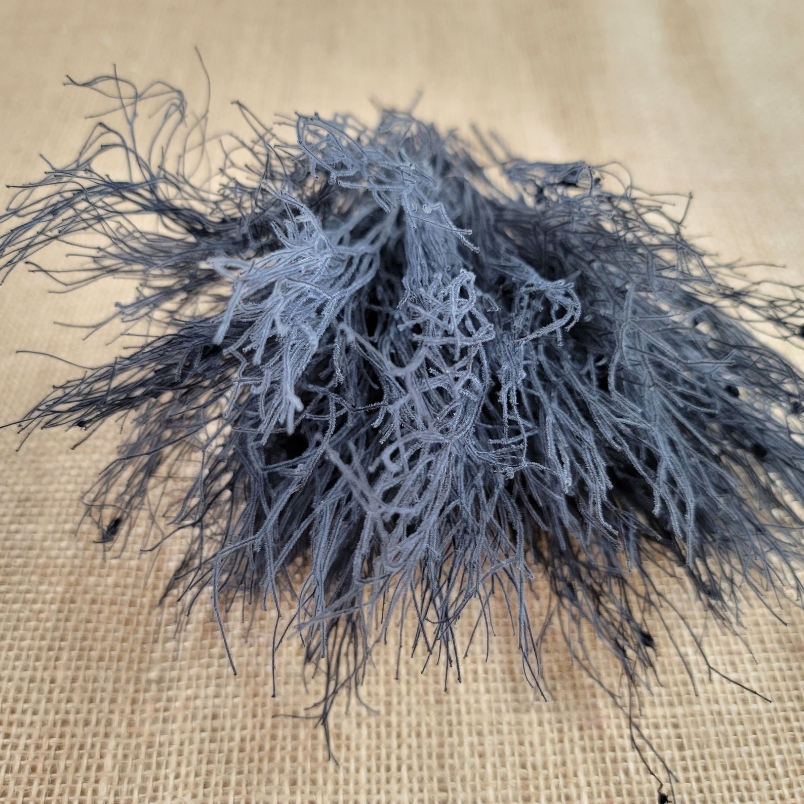 Preserved Dream Grass Columbine: Natural Dried Flower Arrangement - Etsy