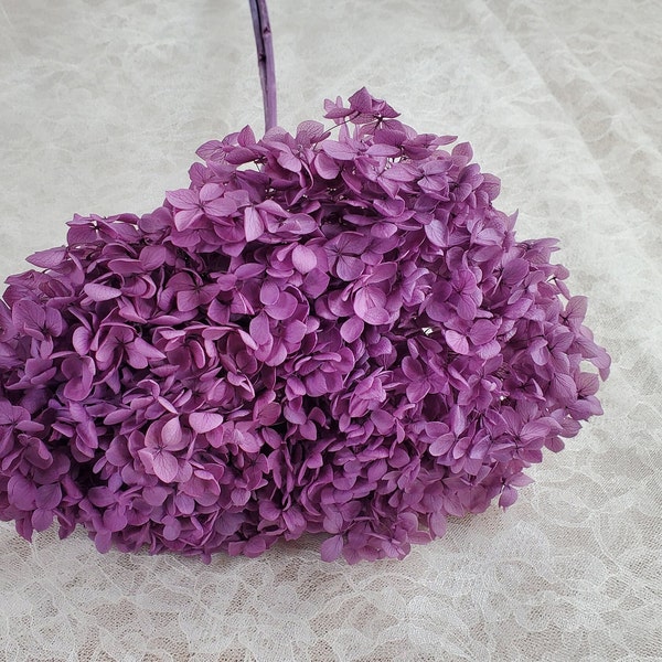 Dried Hydrangeas - Etsy