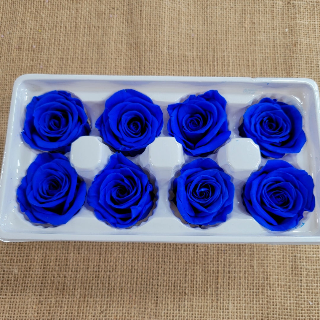 8pcs Blue Roses, Rose Kanon Medium, Preserved Roses, Wedding Rose ...