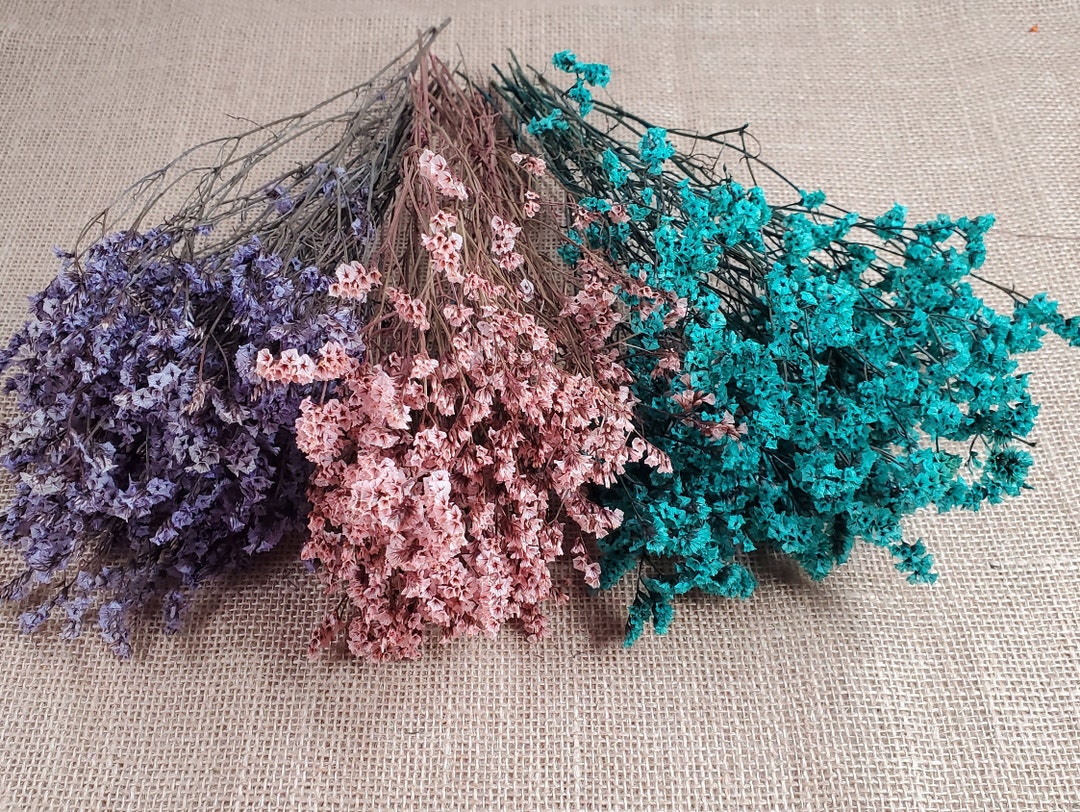 Preserved German Statice, Limonium Dried Flower, Crystal Flowers ...