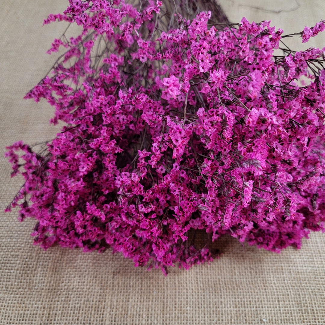 Purplish Red Preserved German Statice, Limonium Dried Flower, Crystal ...