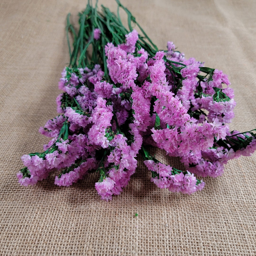 Pink Preserved Statice Flowers for Bouquet, Floral Arrangements, Dried ...