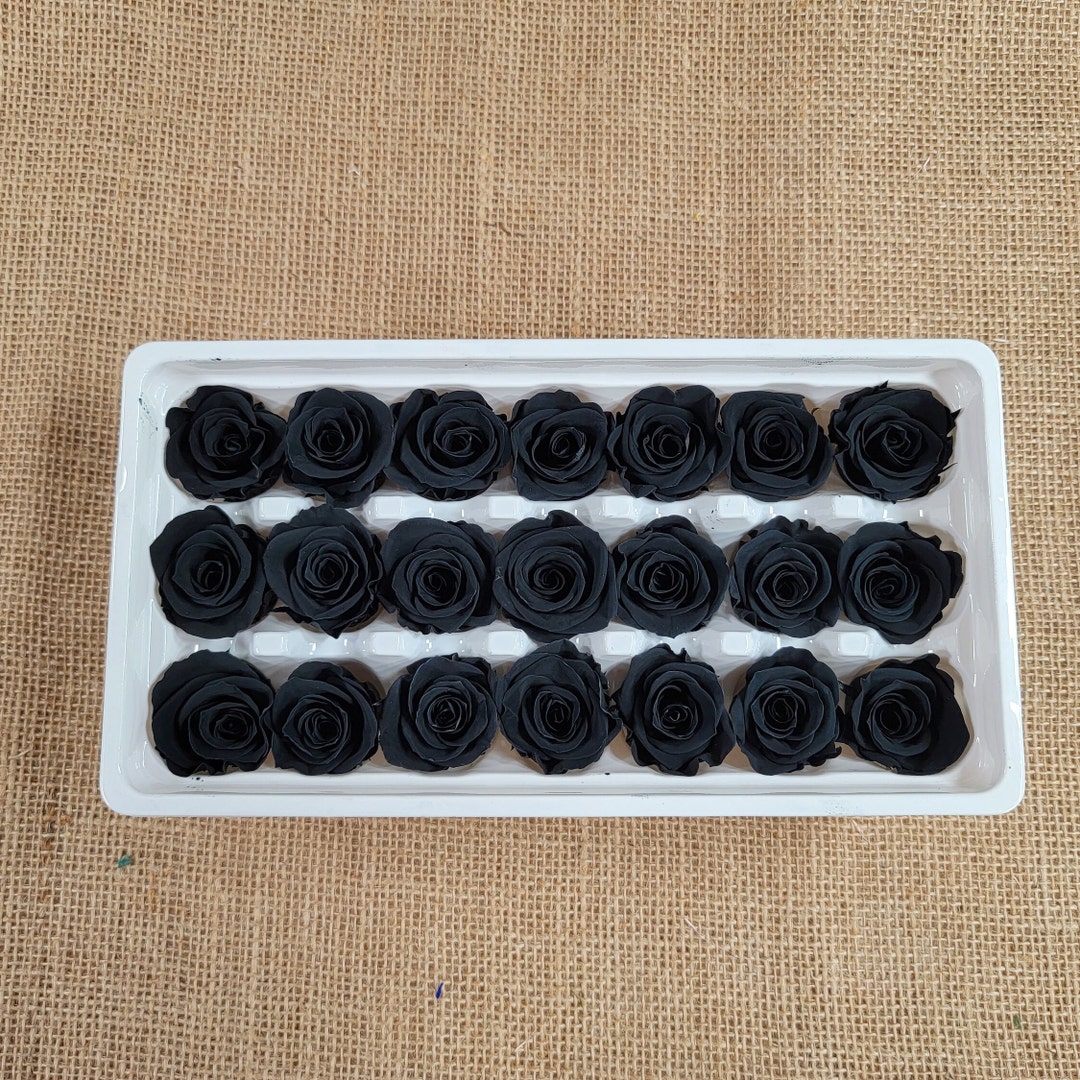 Black Preserved Roses - 21 Pack - Wedding, Prom, Christmas - Etsy