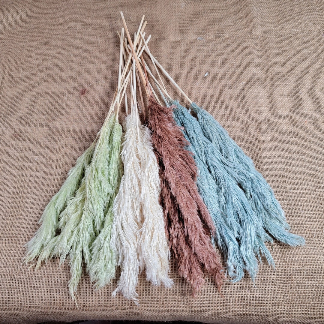 Dried Flower Reed Pampas Grass 4to 5 Stems per Bundle Home Flower ...