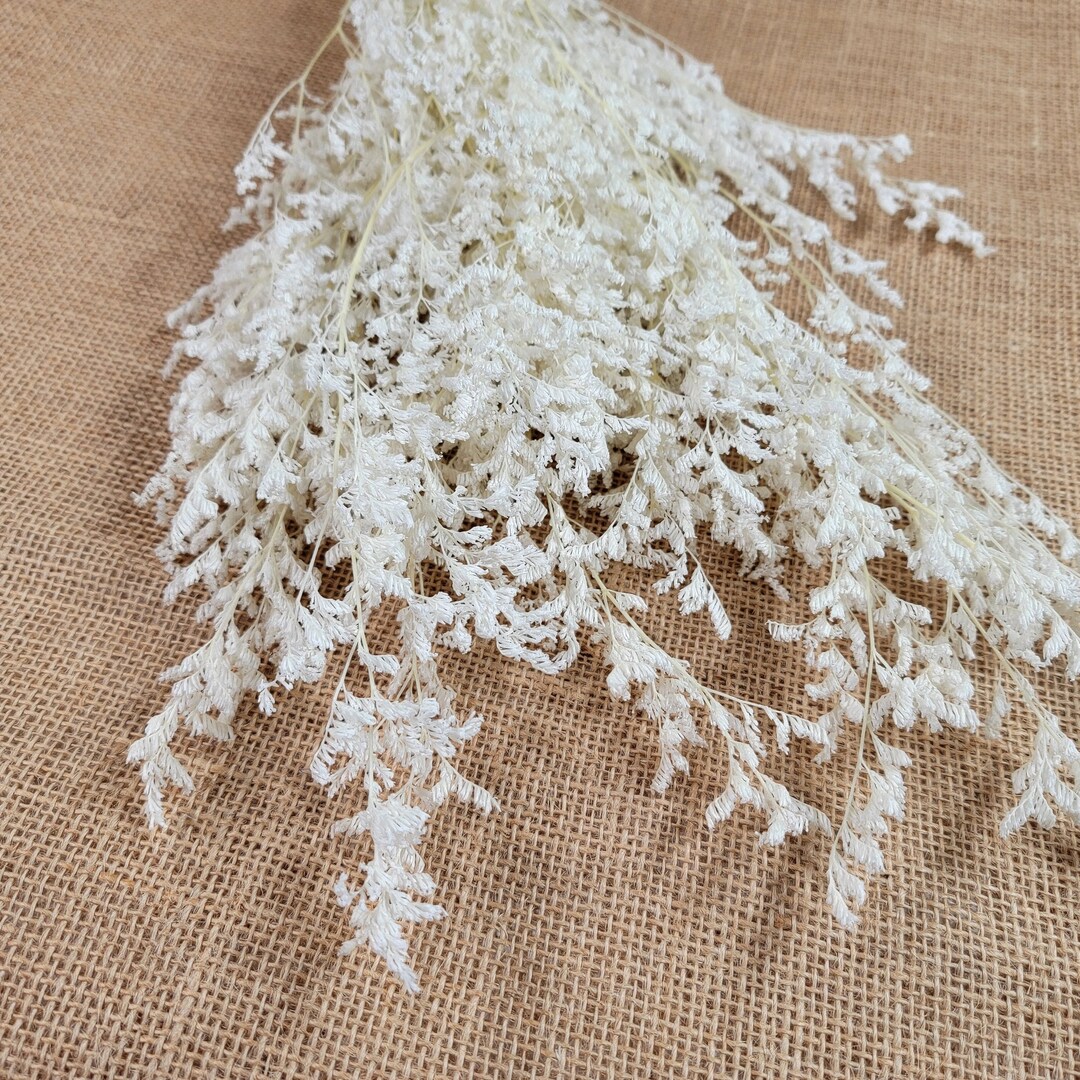 Caspia in Beige Color, Soft Preserved Floral Arrangements, White ...