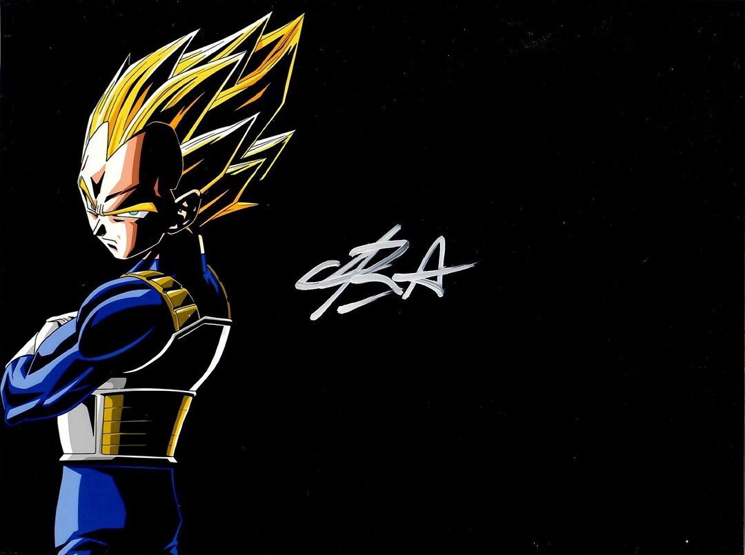 Christopher Sabat Autograph + COA (vegeta/dragonball) - Etsy