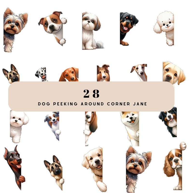 Peeking Lab Svg - Etsy