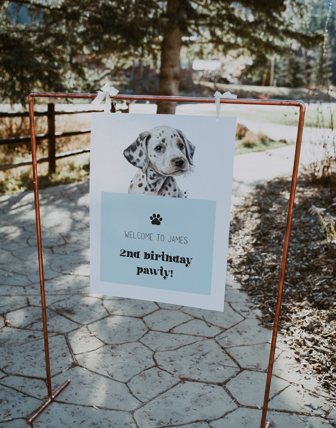 Dalmatian Dog Birthday Welcome Sign - Dog Birthday Banner - Dog First ...