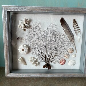 Beach Art 8x10 Shadowbox Coastal Decor Atlantic Ocean Florida Shell Collection 1 - Etsy