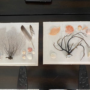 Beach Art 8x10 Shadowbox Coastal Decor Atlantic Ocean Florida Shell Collection 1 - Etsy