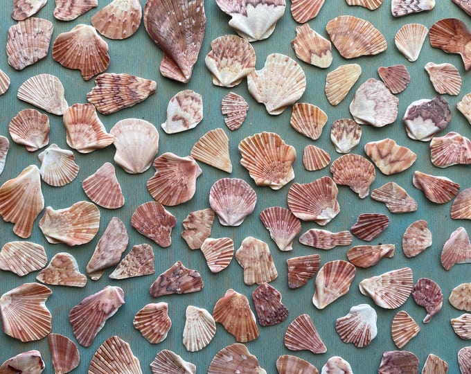 Shell Craft Coastal Wall Art Beach House Shell Collage Pink Shell DIY ...
