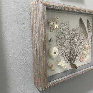 Beach Art 8x10 Shadowbox Coastal Decor Atlantic Ocean Florida Shell Collection 1 - Etsy