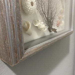 Beach Art 8x10 Shadowbox Coastal Decor Atlantic Ocean Florida Shell Collection 1 - Etsy