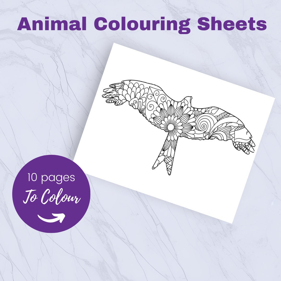 10 Animal Colouring Sheets Animal Printable Animal Activity - Etsy