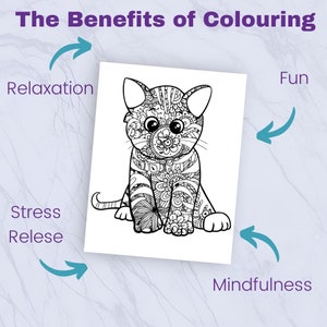 10 Cat Colouring Sheets, Cat Printable, Cat Activity, Adult and ...