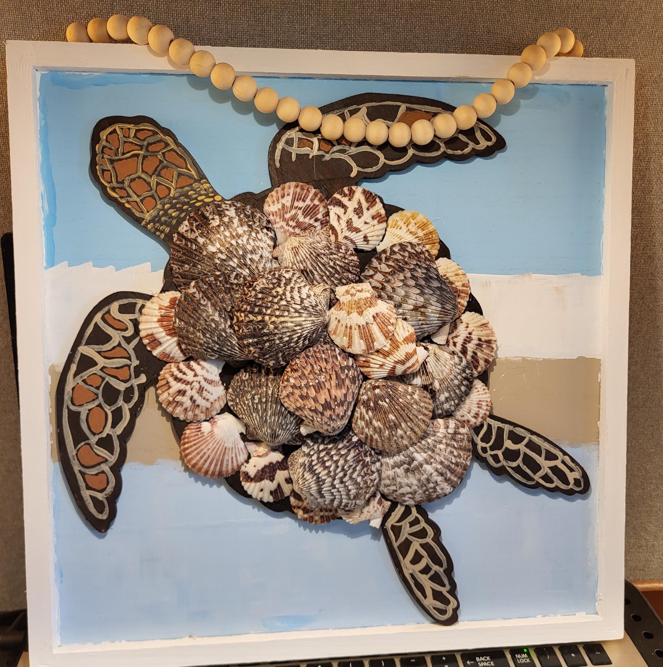 4 Different Styles of Sea Turtles Made With Real Shells on Large ...
