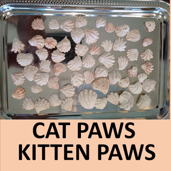 Kitten Paw Shells - Etsy