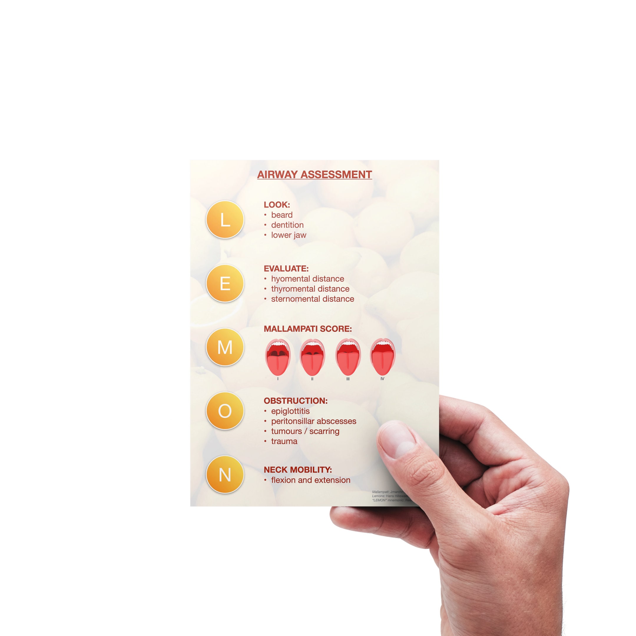 Airway Assessment Card - Etsy UK