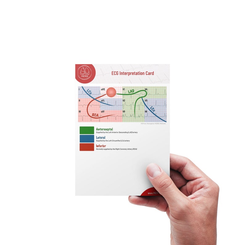 ECG Interpretation Card - Etsy