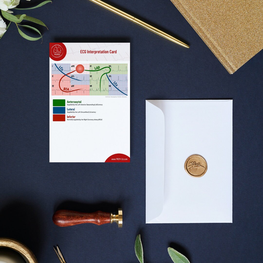 ECG Interpretation Card - Etsy