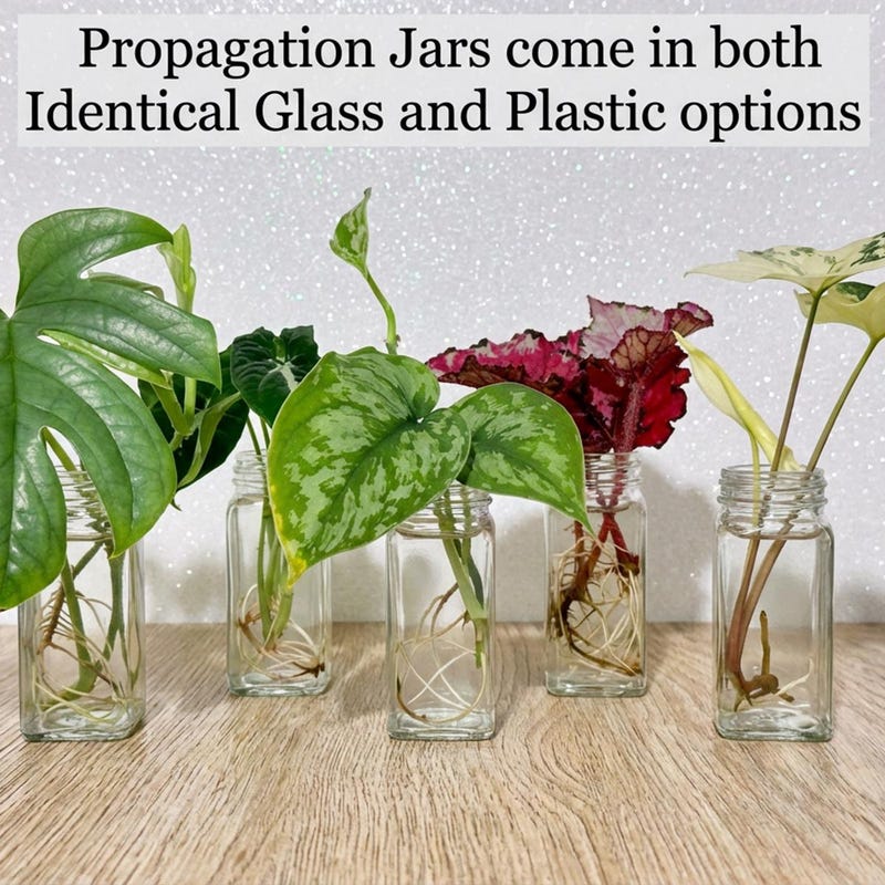 Glass Propagation - Etsy