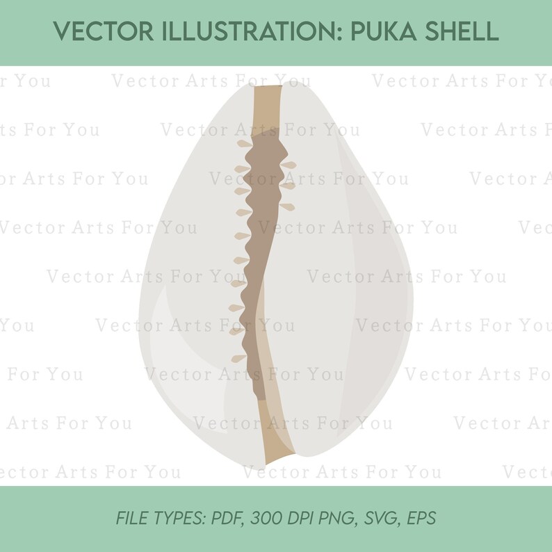 Digital Vector Clipart Puka Shell SVG Cut Files Instant - Etsy New Zealand