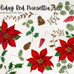 Christmas Red Poinsettia Clipart, PNG Files, Holiday Clipart PNG ...