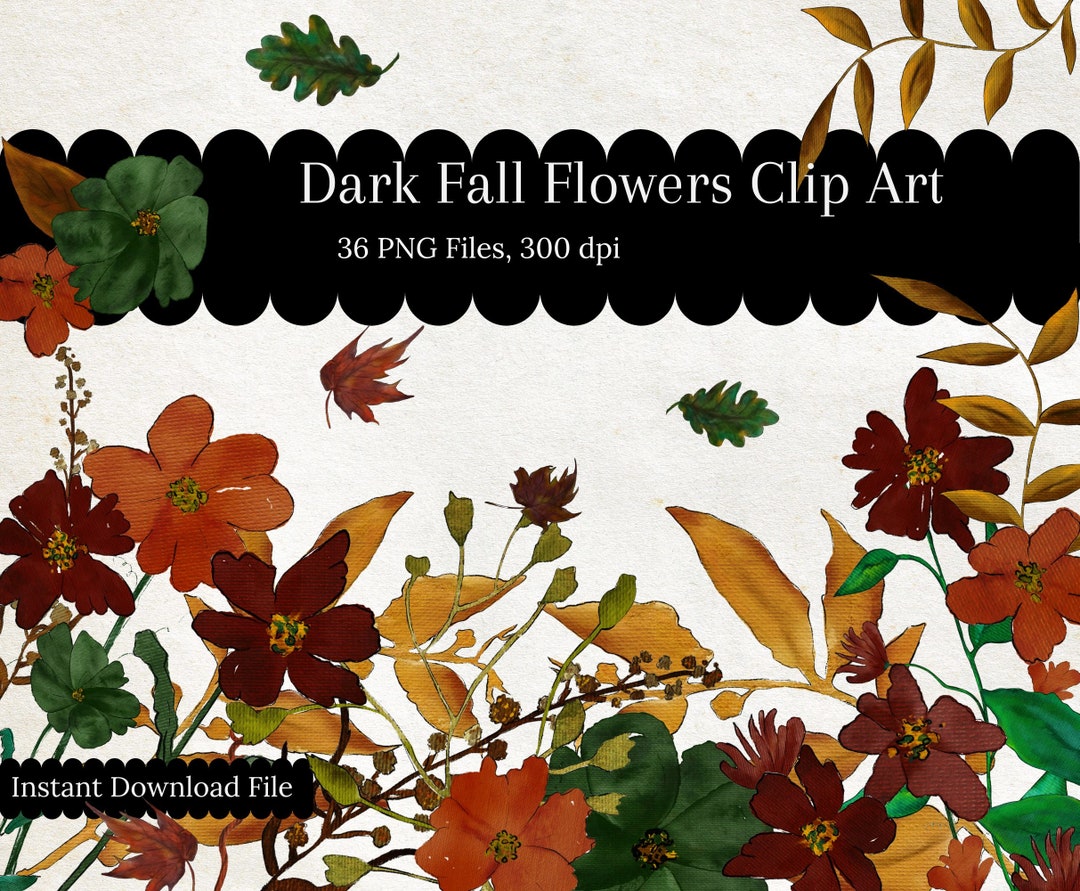 Fall Floral PNG Bundle, Watercolor Clip Art 36 Element Bundle, Print on ...