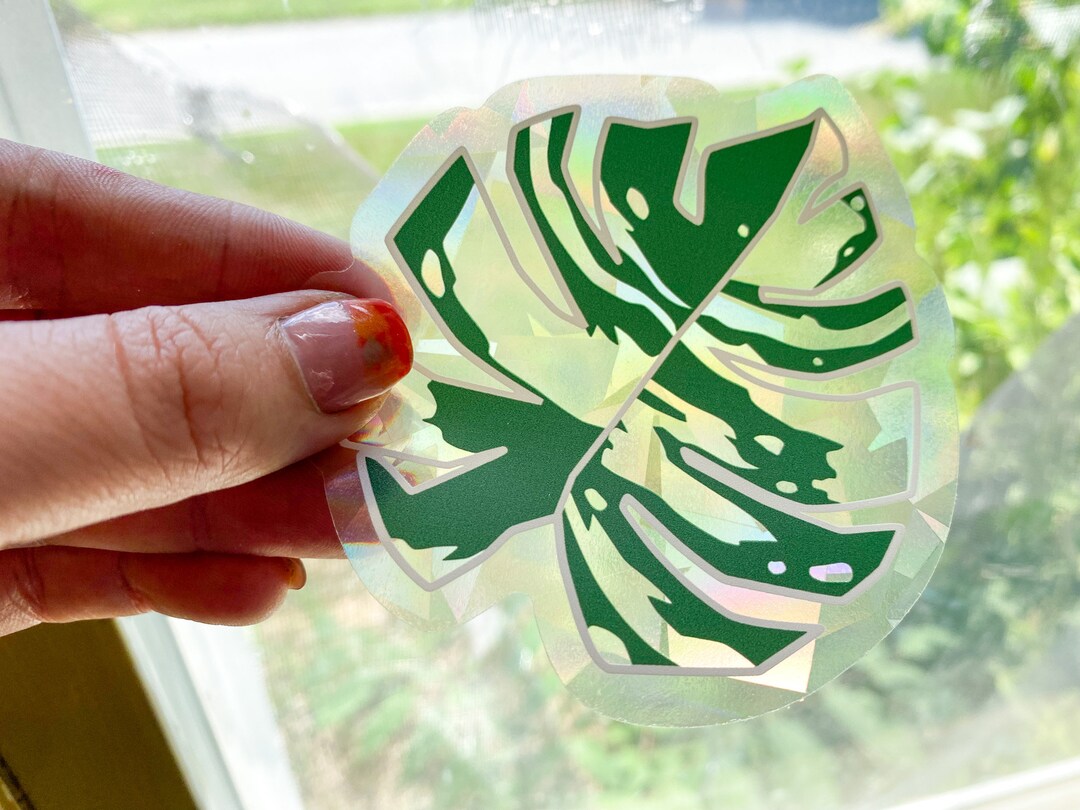 Variegated Monstera Albo Suncatcher Sticker Gift for Plant Lovers ...