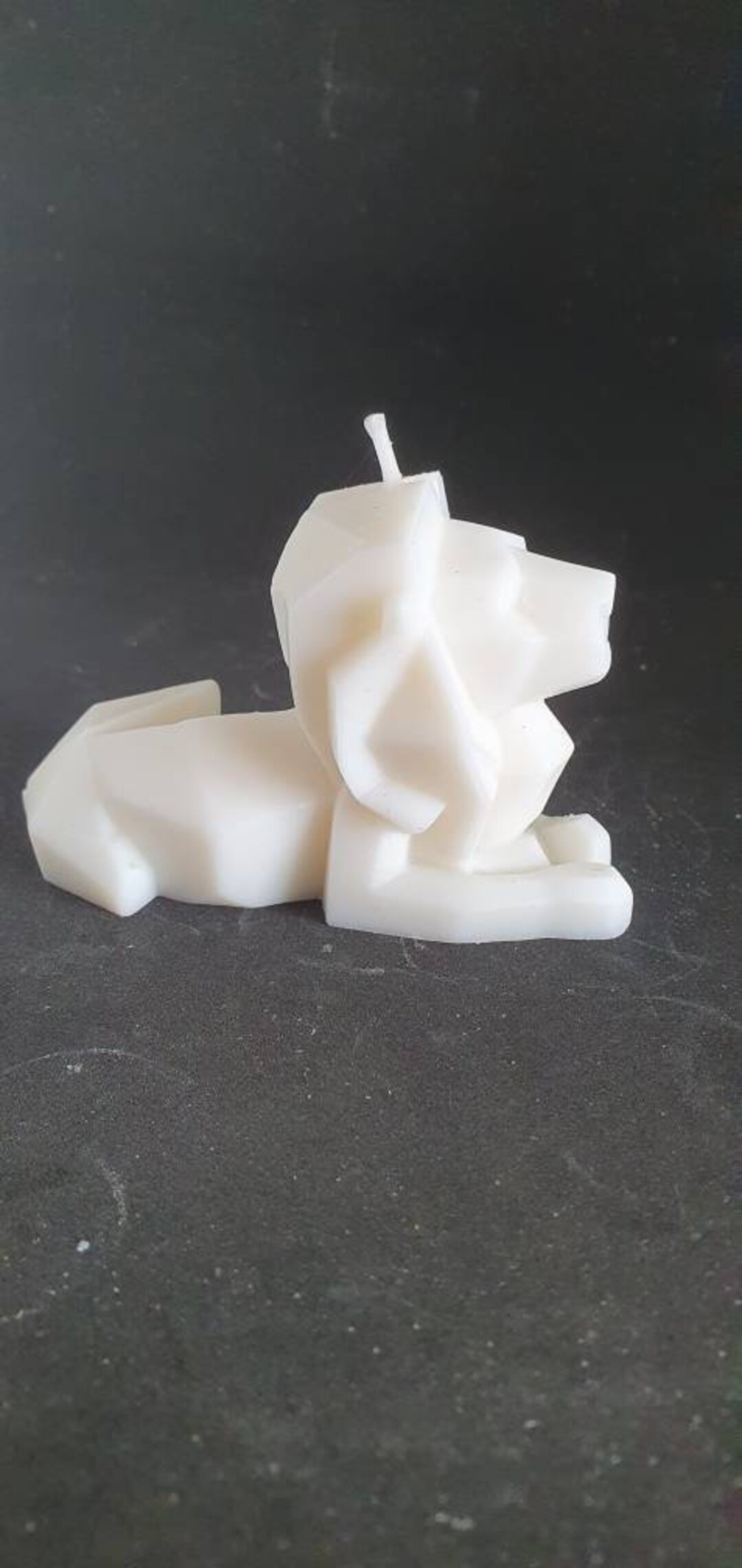 3d Lion Candle - Etsy