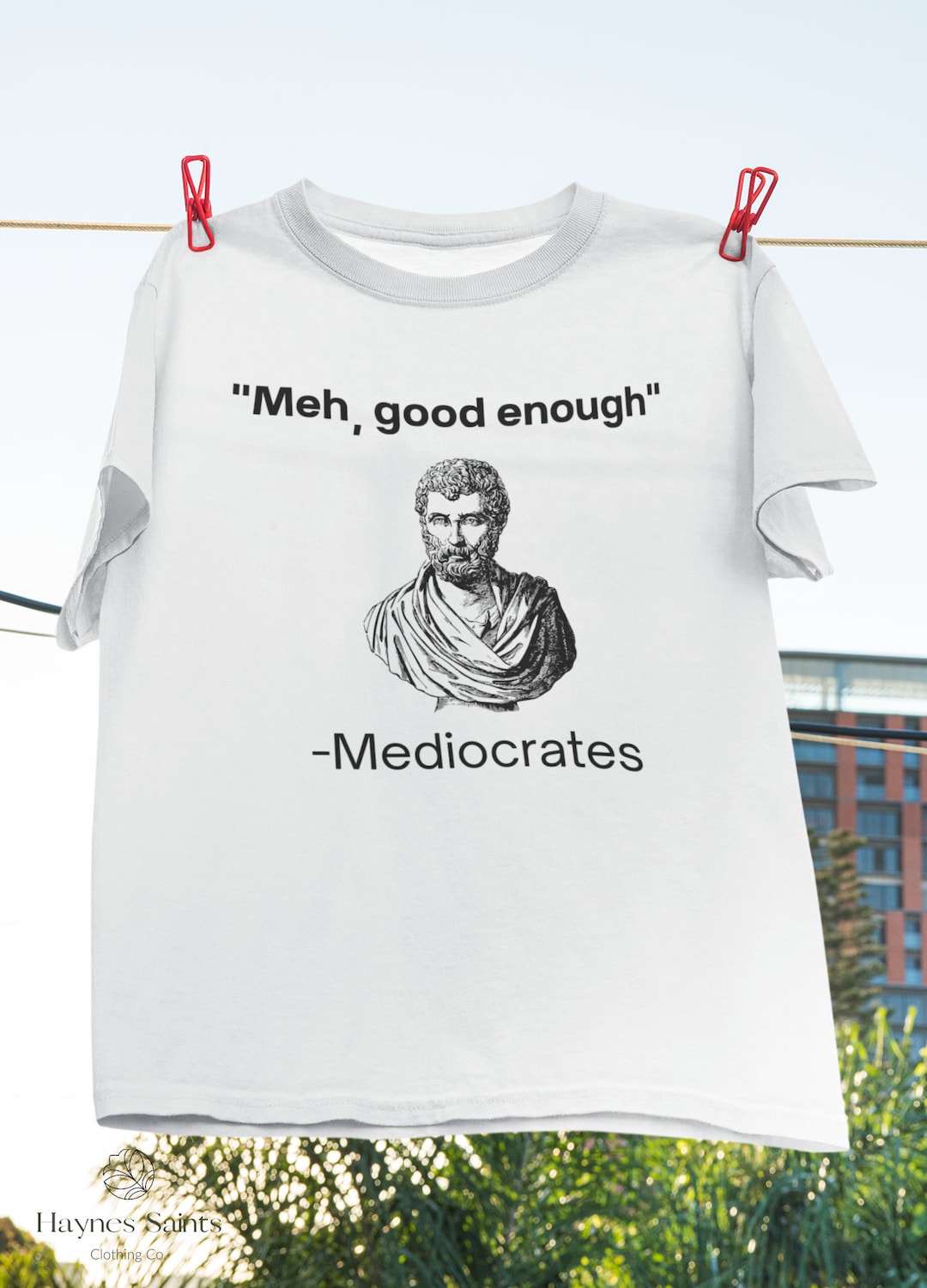 Meh, Good Enough, Mediocrates Demotivational T-shirt, Ancient Greek ...