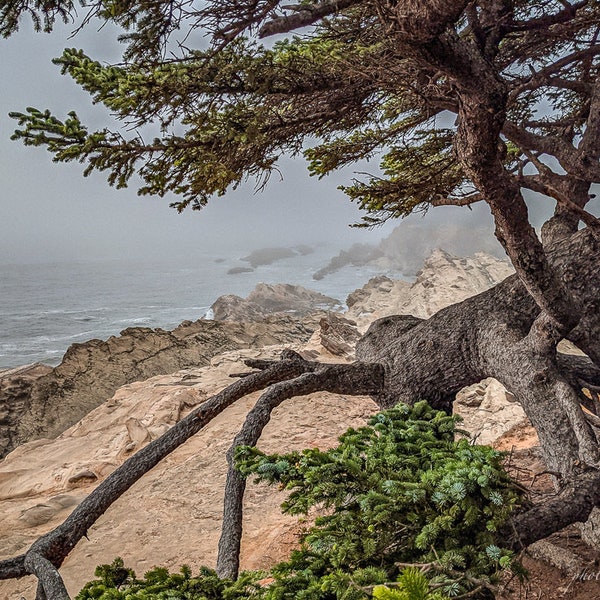Foggy Ocean - Etsy