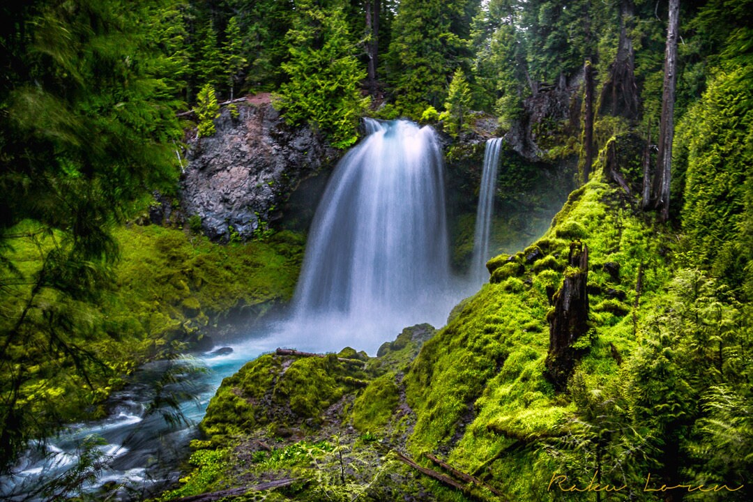 Oregon Waterfall Photography, Lush Green Forest Print, Pacific ...