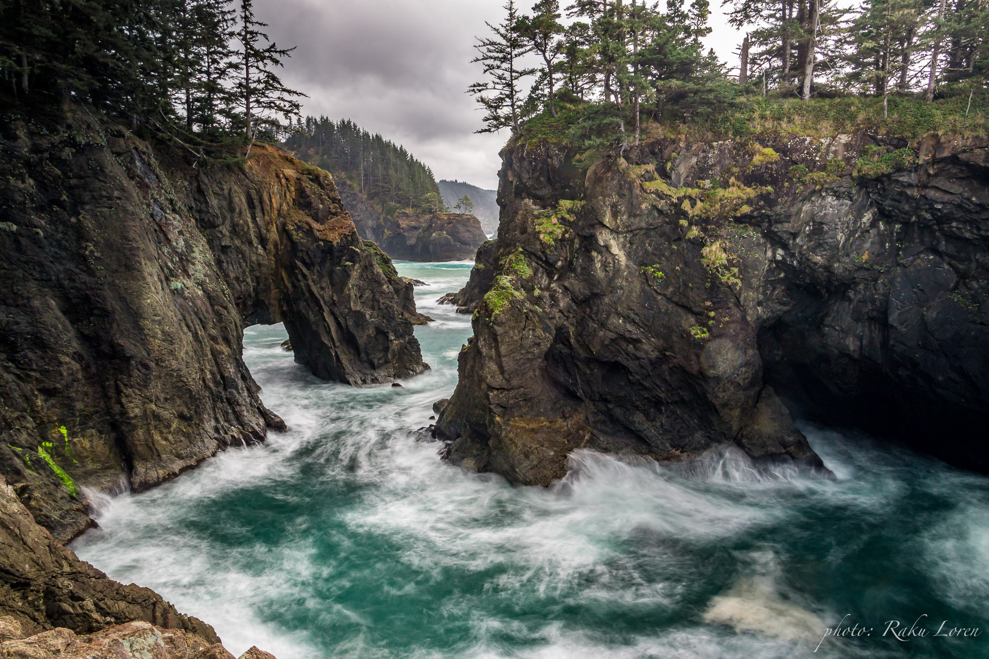 Oregon Coast Photography, Sea Arch, Coastal Rock Formation, Forest ...