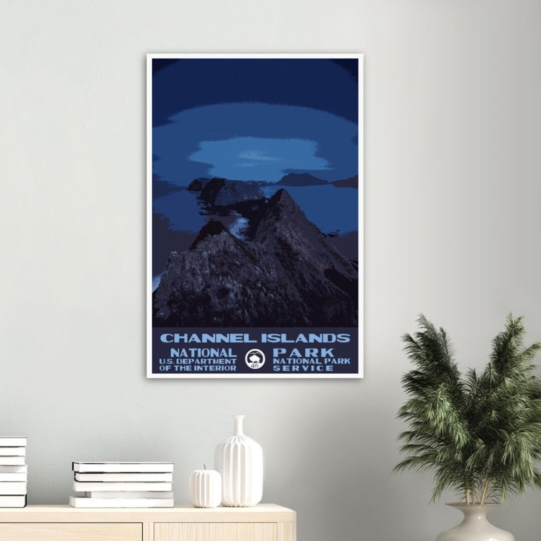 Channel Islands National Park Service Vintage Travel Poster - Etsy