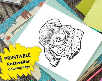 Cowboy Puppy, Coloring Page, Coloring Activity, Summer Activity, Kids ...