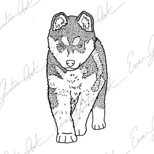 Siberian Husky Printable Coloring Page for Children - PDF Download - Etsy