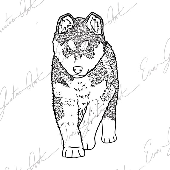 Alaskan Husky Coloring Pages