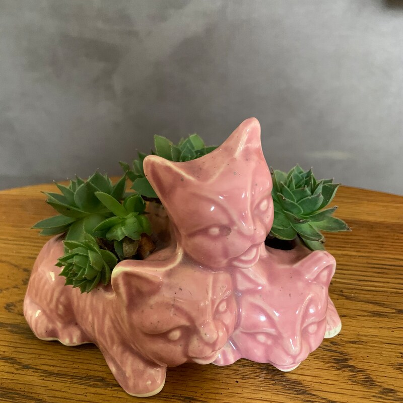 Pink Ceramic Planter - Etsy