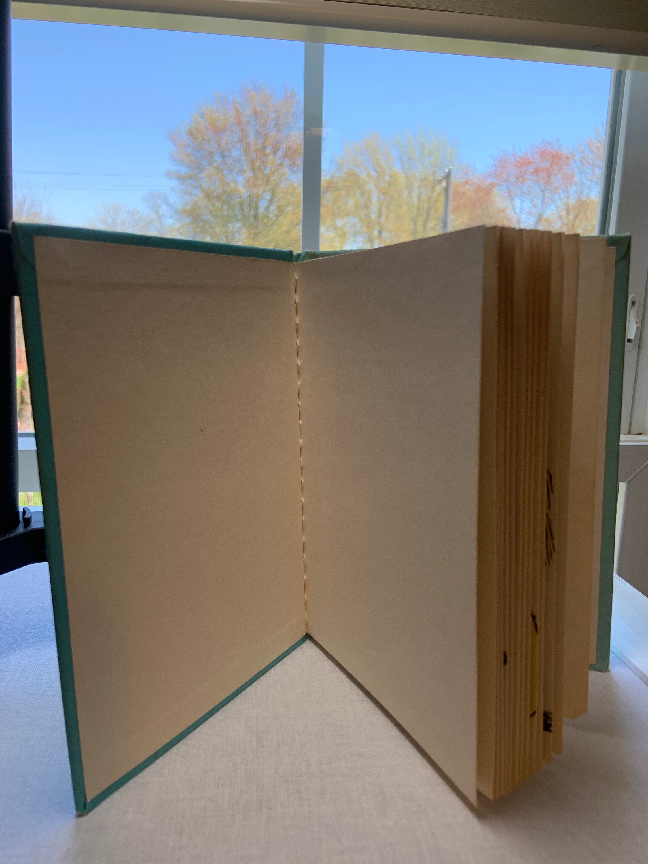 Vintage 'PIERRE' Book by Maurice Sendak Collectible 1962 Children's ...