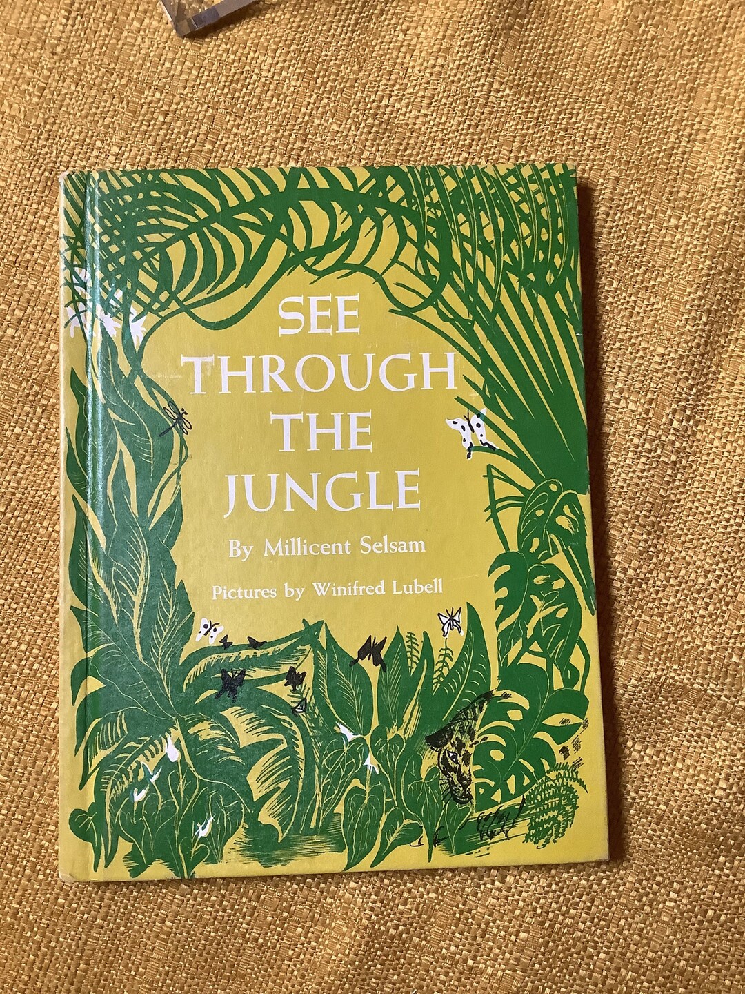 Vintage Science Book - See Through the Jungle by Millicent Selsam, 1957 ...