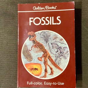 Vintage Fossils Guide Book, Full-color Paperback, Prehistoric Life Maps ...
